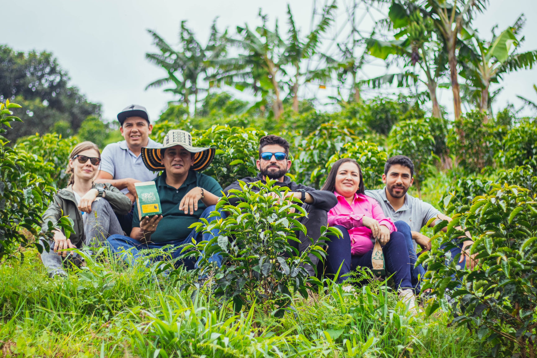 Due South Coffee Roasters