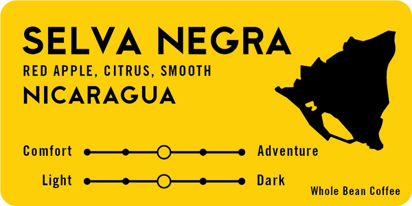 Selva Negra | Nicaragua – Due South Coffee Roasters
